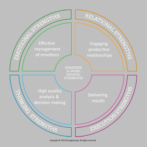 How to Play to Your Strengths in Your Career - Red Tiger Consulting